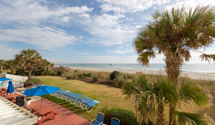 Studio – Jade Tree Cove